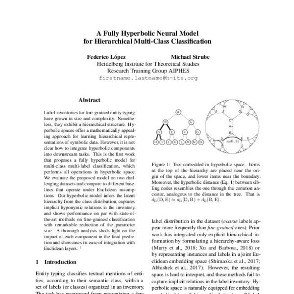 A Fully Hyperbolic Neural Model For Hierarchical Multi Class Classification Acl Anthology