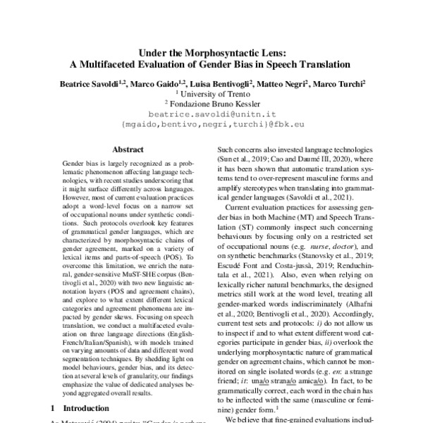 Under the Morphosyntactic Lens: A Multifaceted Evaluation of Gender ...