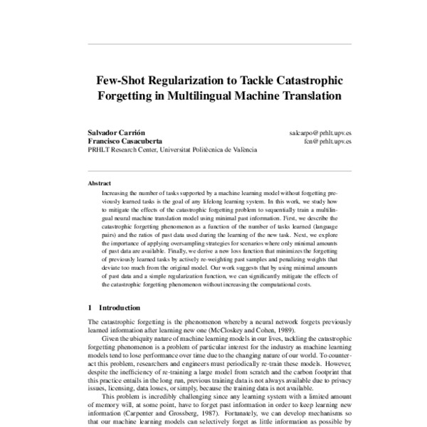 Few-Shot Regularization to Tackle Catastrophic Forgetting in ...