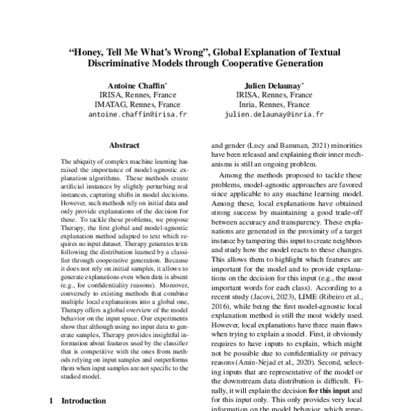 Honey Tell Me Whats Wrong” Global Explanation Of Textual Discriminative Models Through