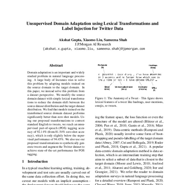 Unsupervised Domain Adaptation Using Lexical Transformations And Label Injection For Twitter