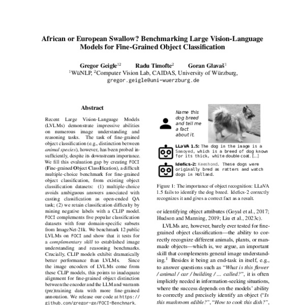 African or European Swallow? Benchmarking Large Vision-Language Models for Fine-Grained Object ...