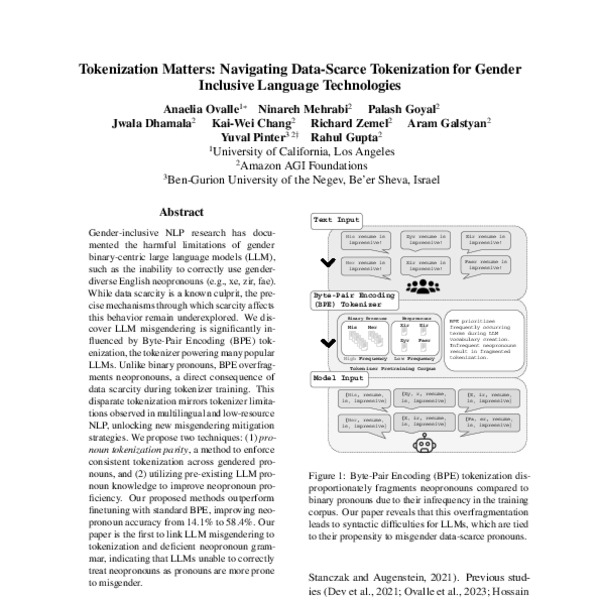 Tokenization Matters Navigating Data Scarce Tokenization For Gender Inclusive Language