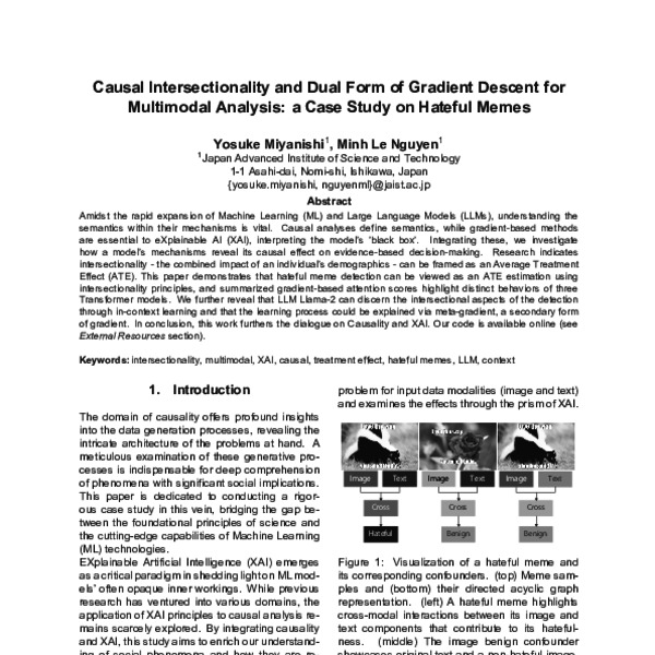 Causal Intersectionality and Dual Form of Gradient Descent for ...
