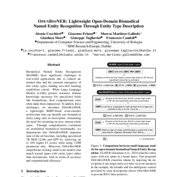 OpenBioNER: Lightweight Open-Domain Biomedical Named Entity Recognition Through Entity Type ...