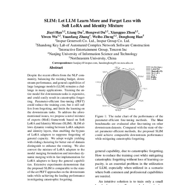 SLIM: Let LLM Learn More and Forget Less with Soft LoRA and Identity ...