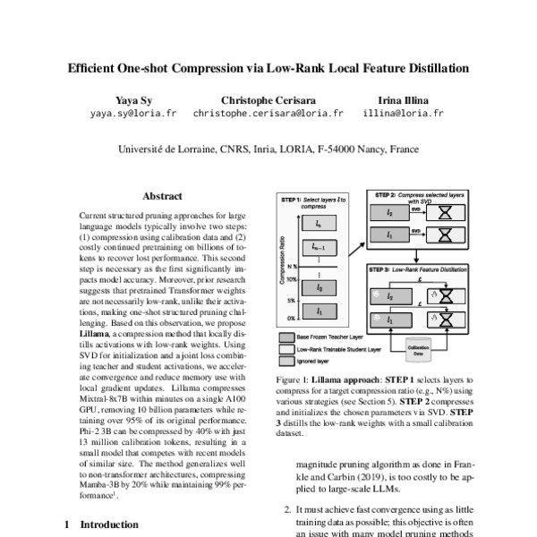Efficient One-shot Compression via Low-Rank Local Feature Distillation - ACL Anthology