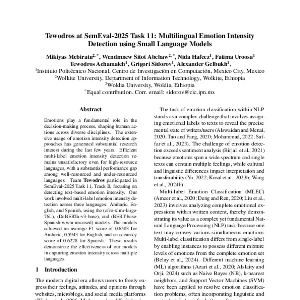 Tewodros at SemEval-2025 Task 11: Multilingual Emotion Intensity Detection using Small Language ...