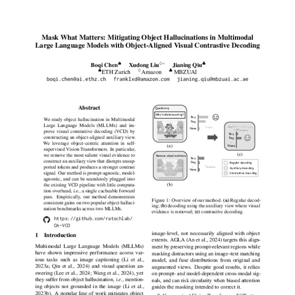 Mask What Matters: Mitigating Object Hallucinations in Multimodal Large ...